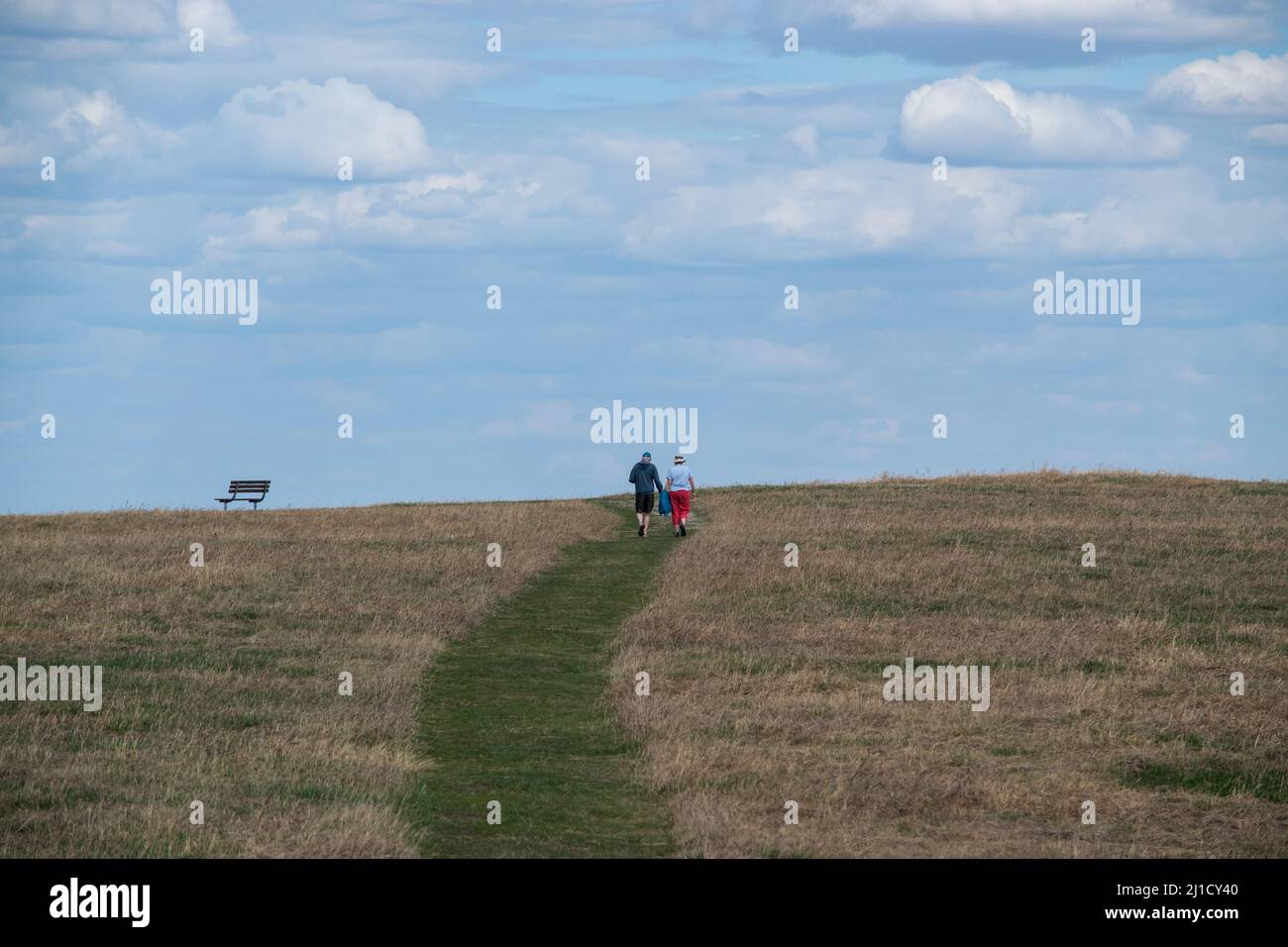 Das Ann & Sandy Cross Conservation Area (ASCCA) ist ein 4.800 Hektar ...