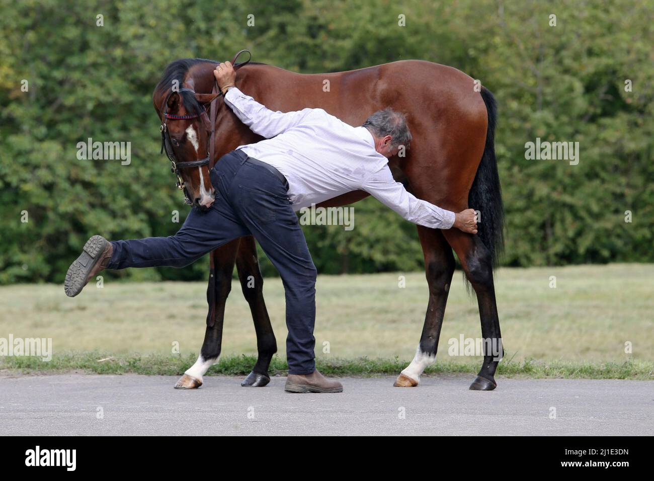 Richtiger biss -Fotos und -Bildmaterial in hoher Auflösung – Alamy