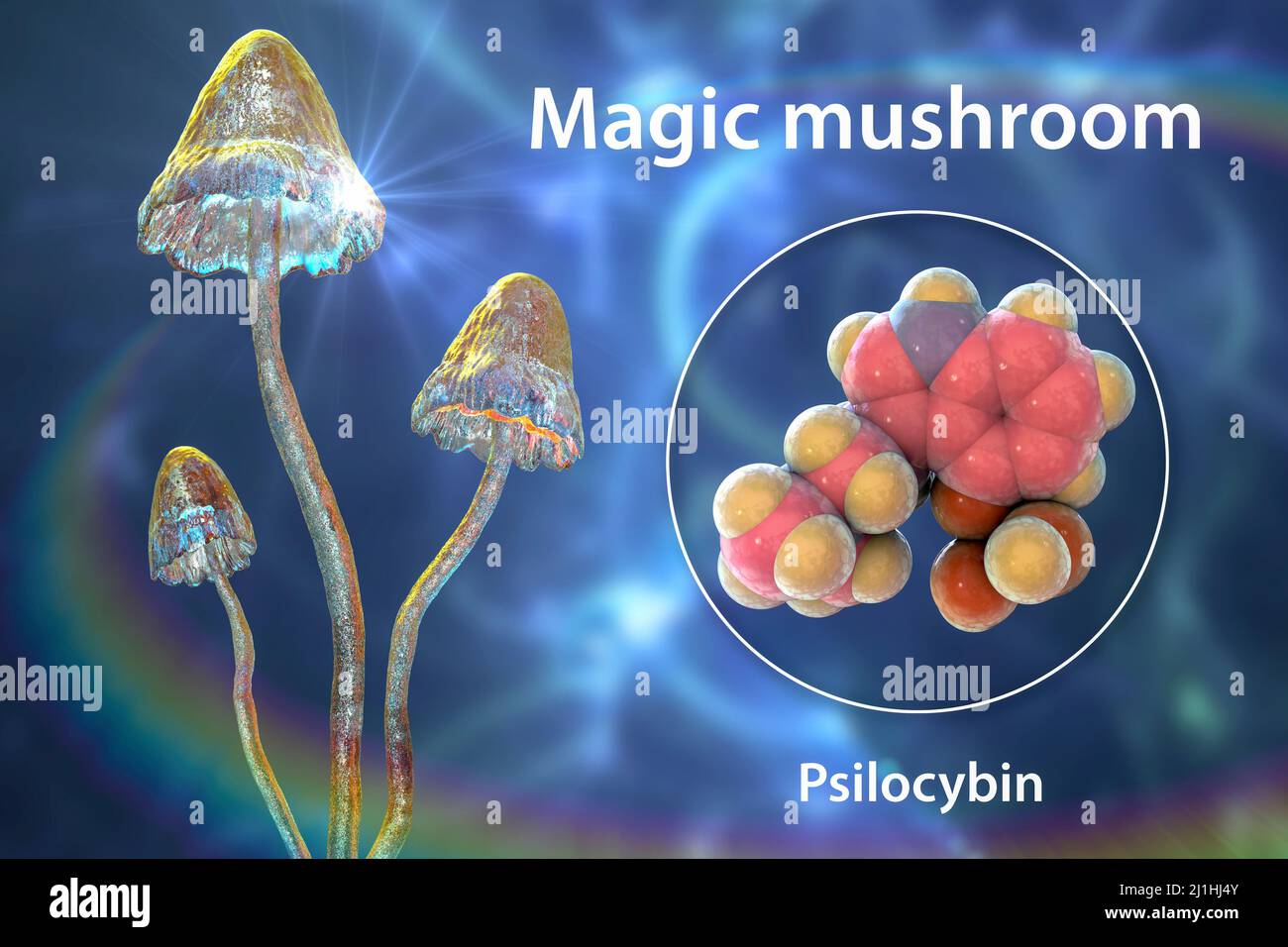 Psilocybin psychedelic mushroom molecule -Fotos und -Bildmaterial in ...