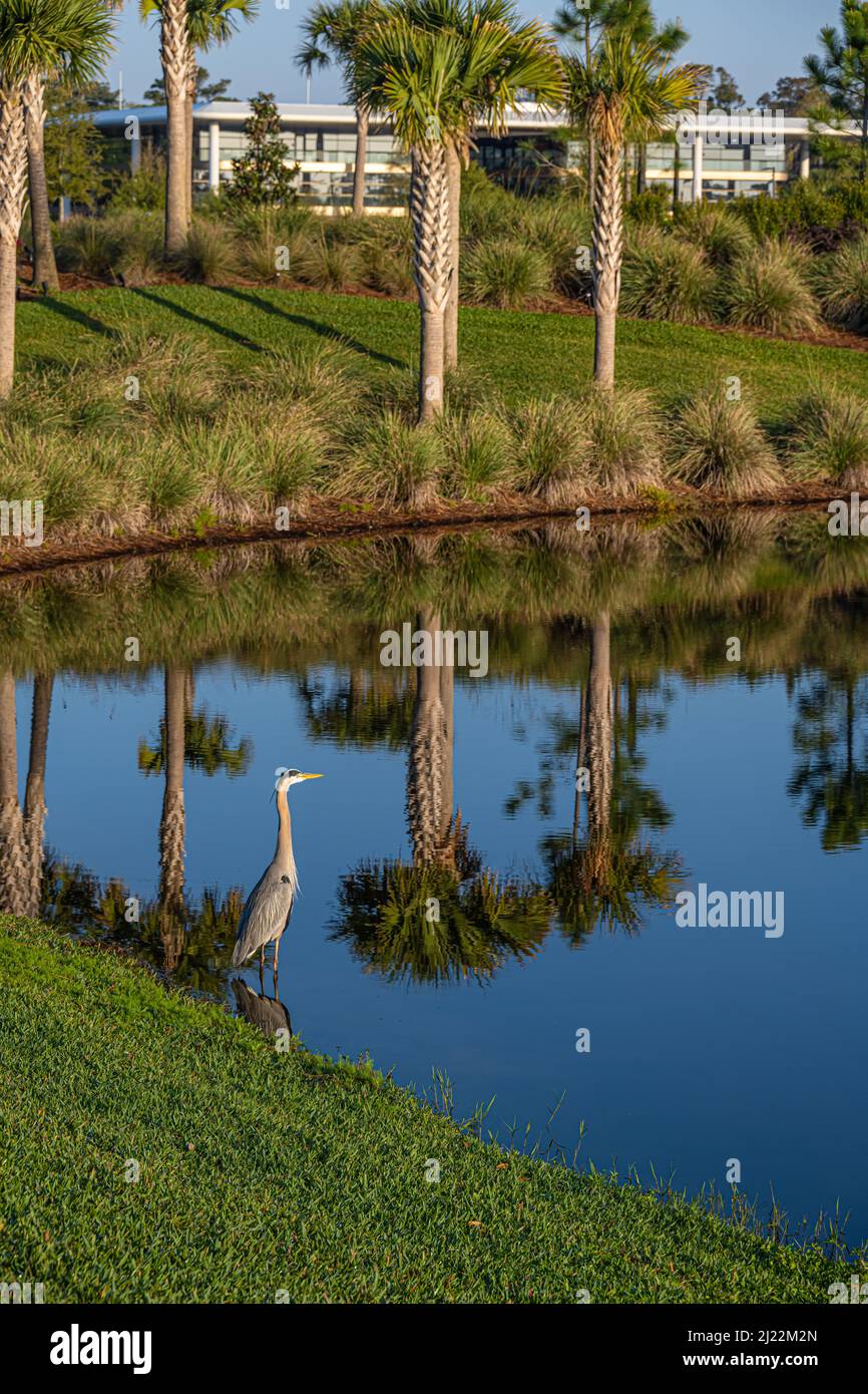 PGA TOUR Global Headquarters bei Sonnenaufgang in Ponte Vedra Beach ...