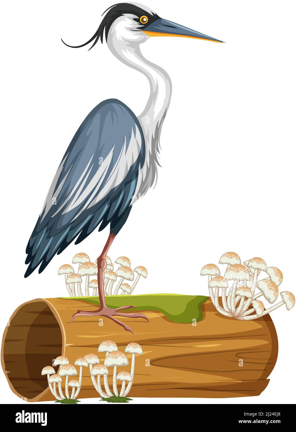 Reiher cartoon clipart -Fotos und -Bildmaterial in hoher Auflösung – Alamy