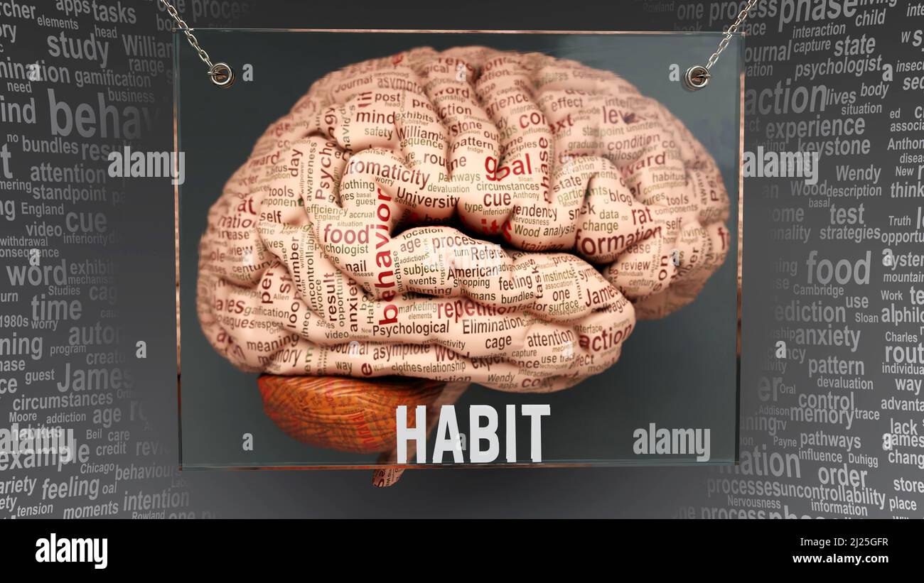 Habit Anatomie - seine Ursachen und Auswirkungen auf ein menschliches ...