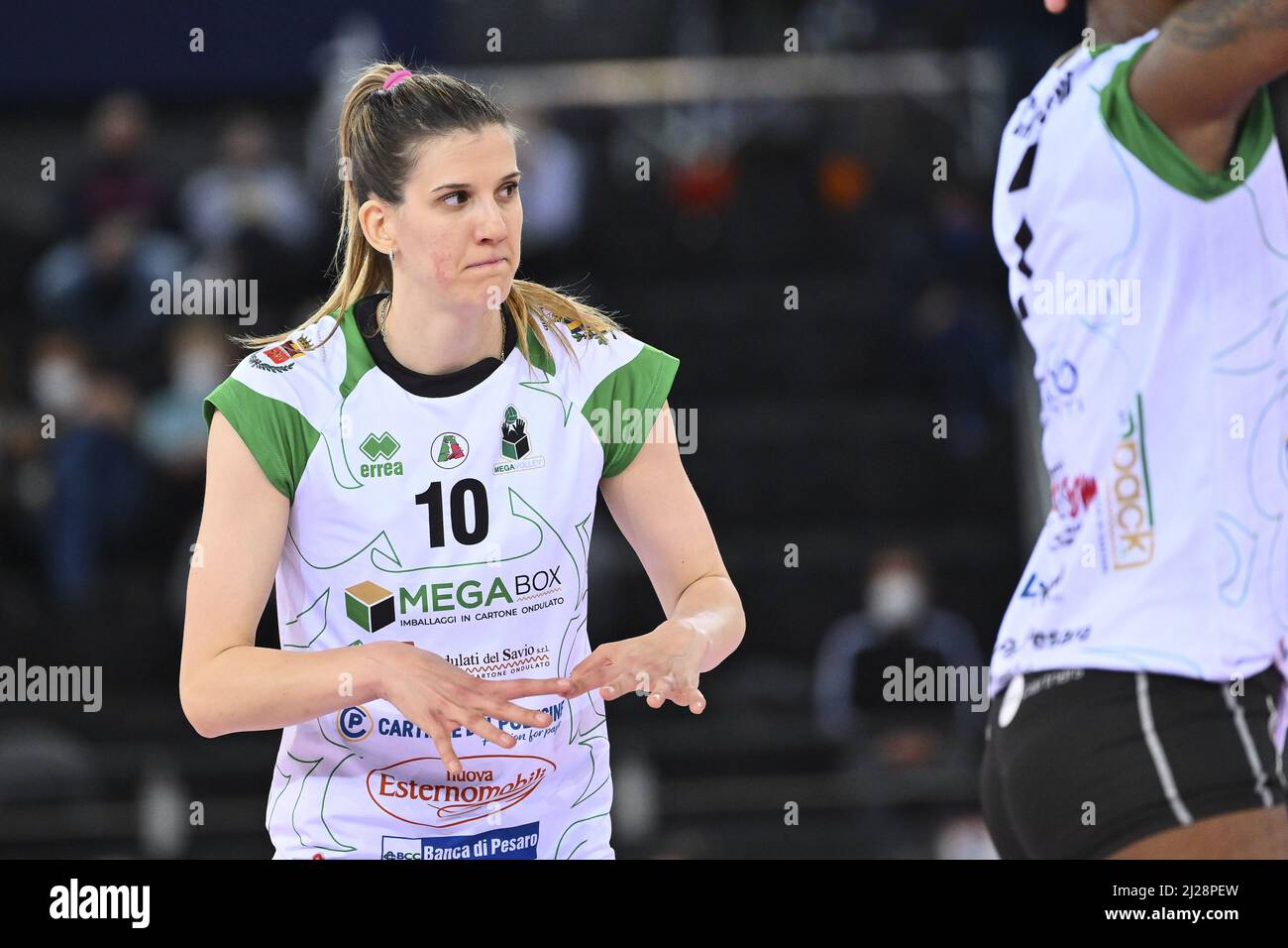 Ana bjelica -Fotos und -Bildmaterial in hoher Auflösung – Alamy