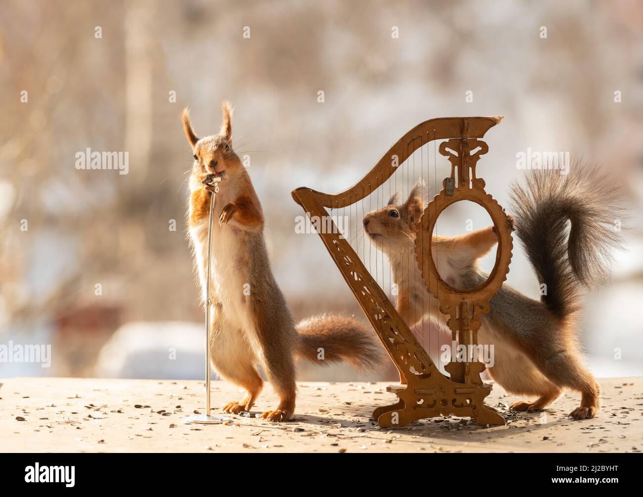 Harfen duo -Fotos und -Bildmaterial in hoher Auflösung – Alamy