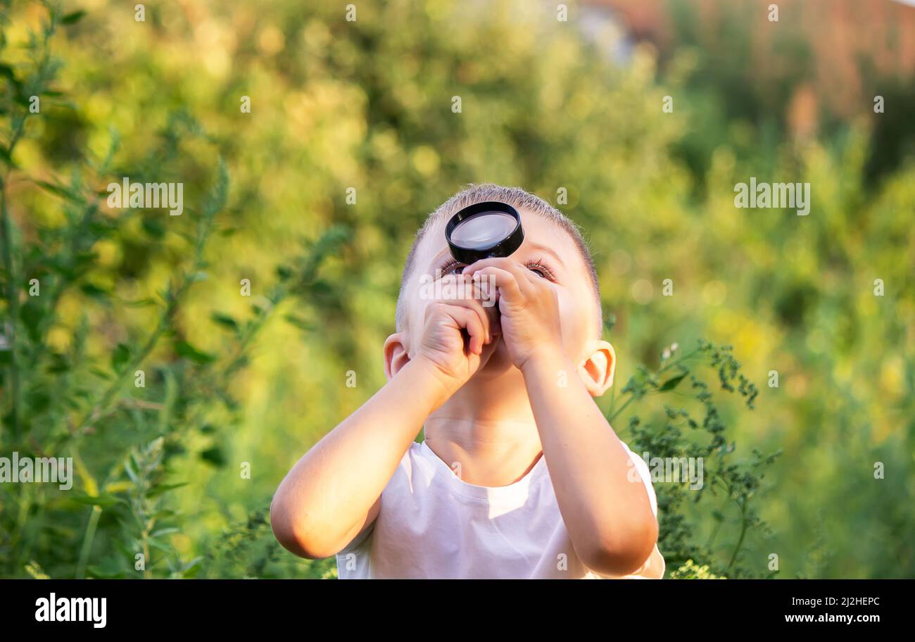 Kleiner Junge, der die Natur auf der Wiese mit einer Lupe erkundet und ...