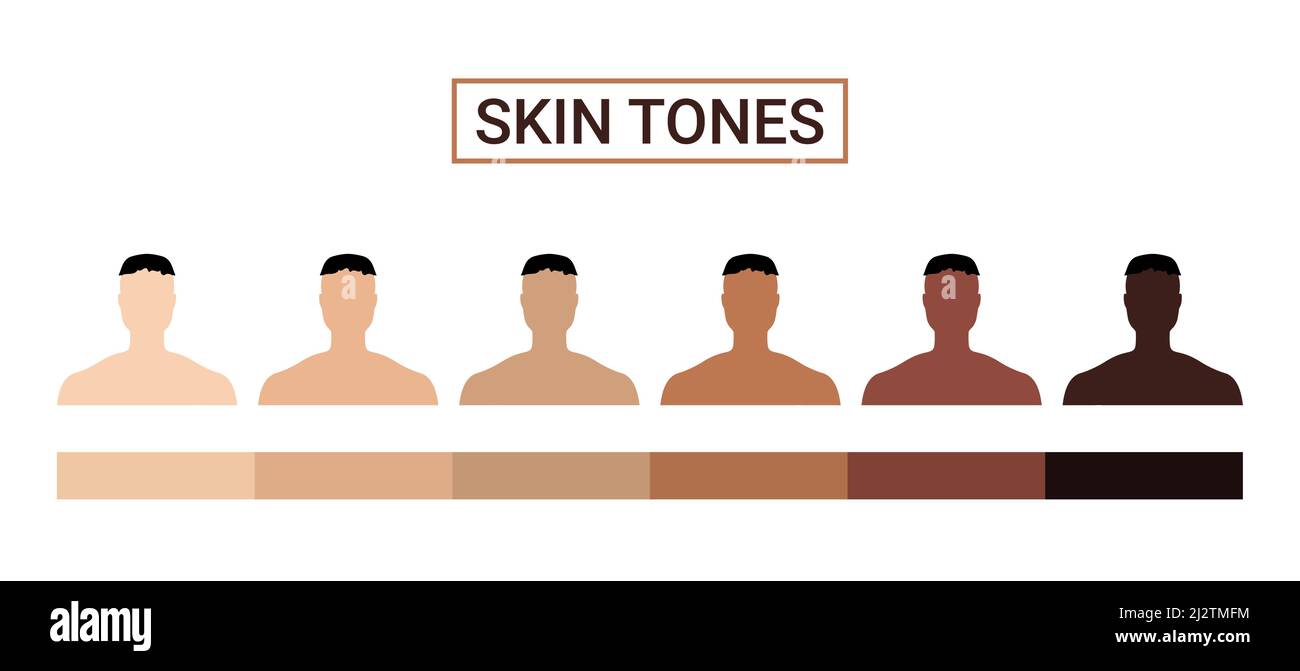 Farbskala für Hauttöne. Brown Palette Vektor menschliche Haut ...