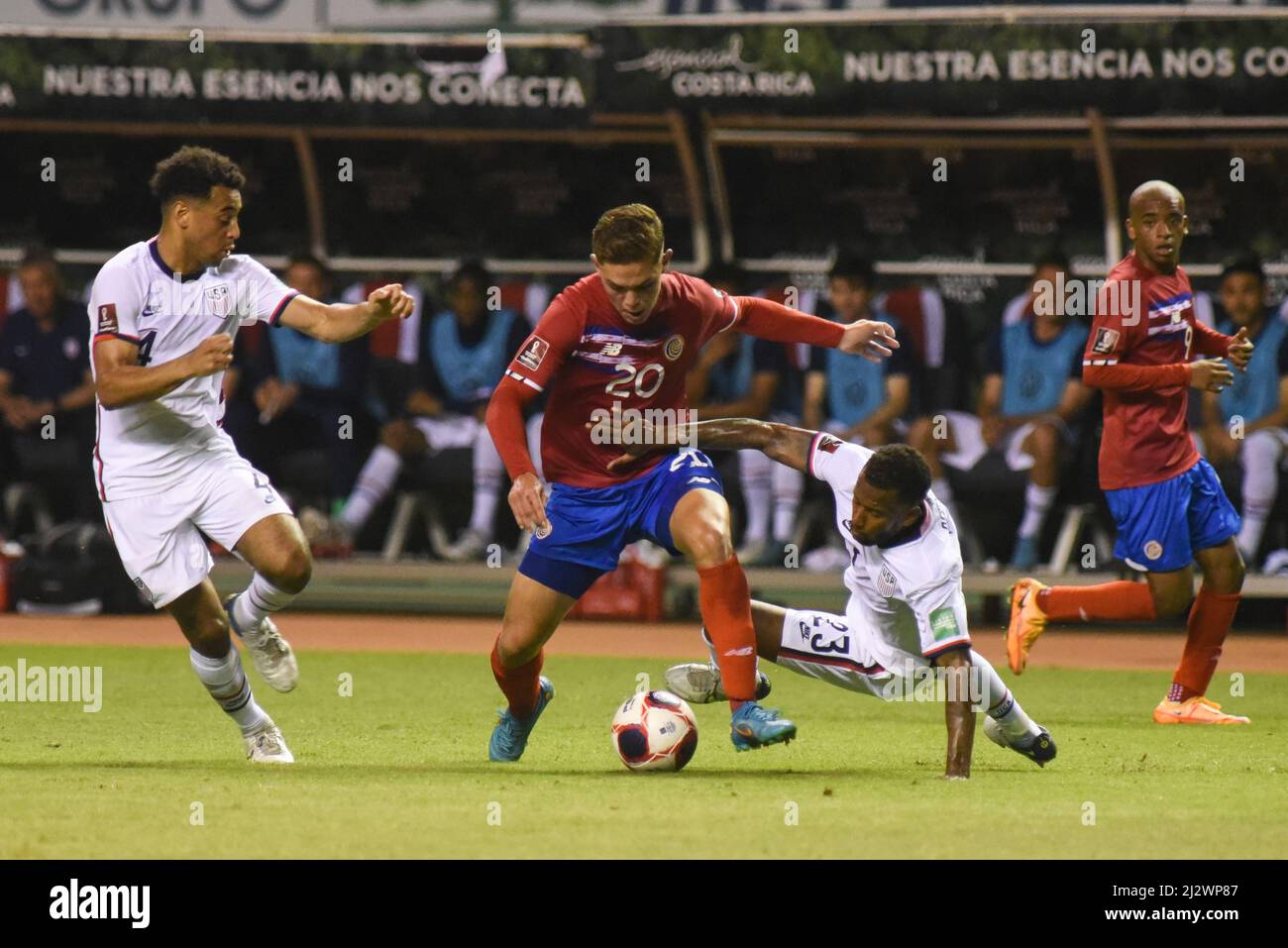 Brandon aguilera -Fotos und -Bildmaterial in hoher Auflösung – Alamy