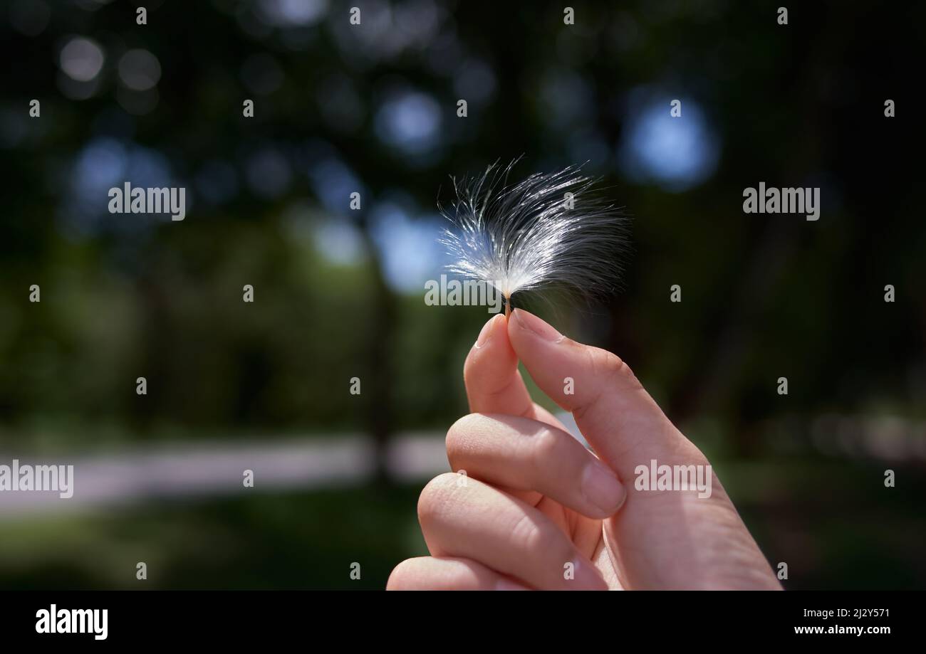 Fell weht -Fotos und -Bildmaterial in hoher Auflösung – Alamy