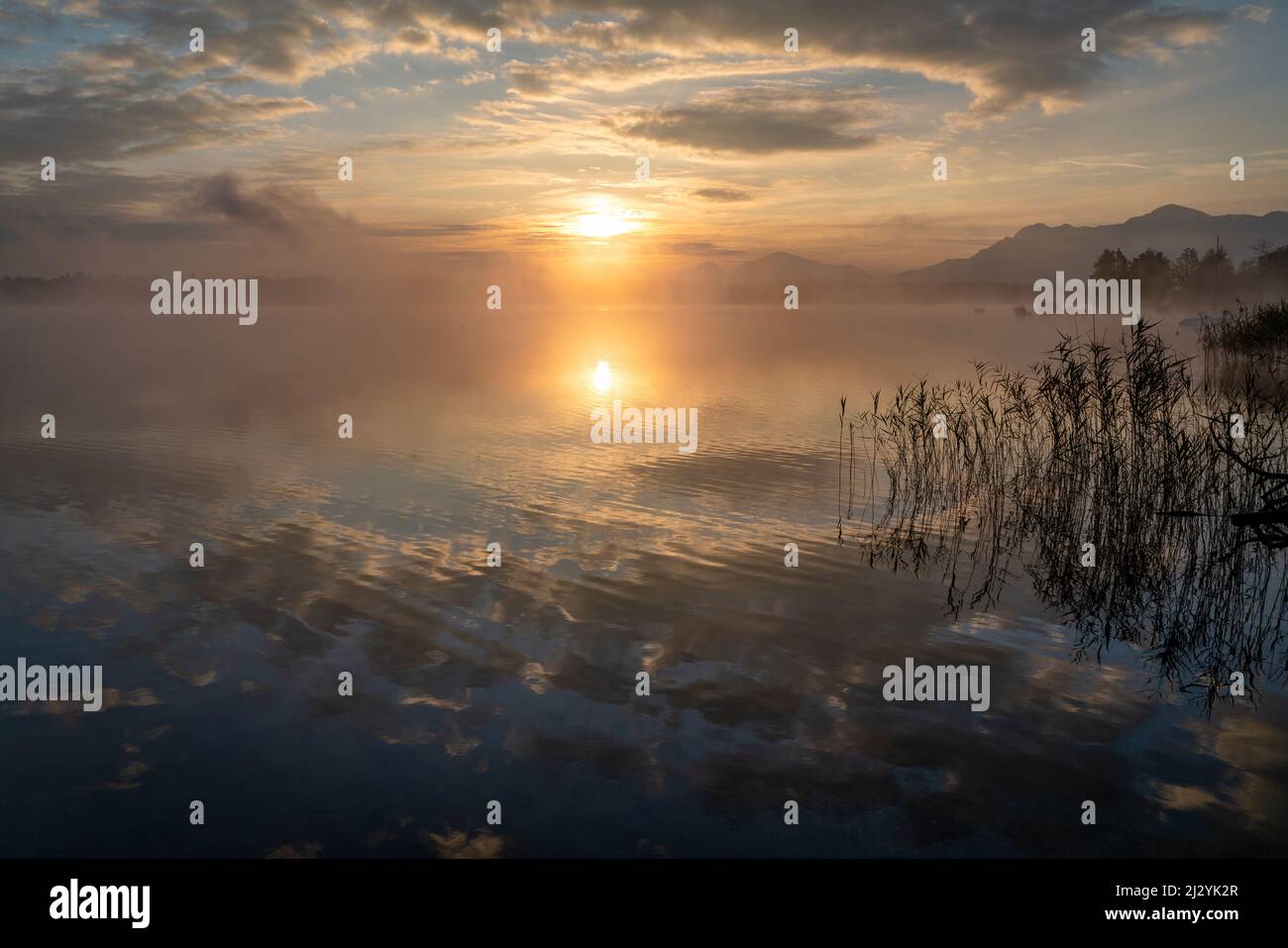 Herbst im uffing am staffelsee -Fotos und -Bildmaterial in hoher ...