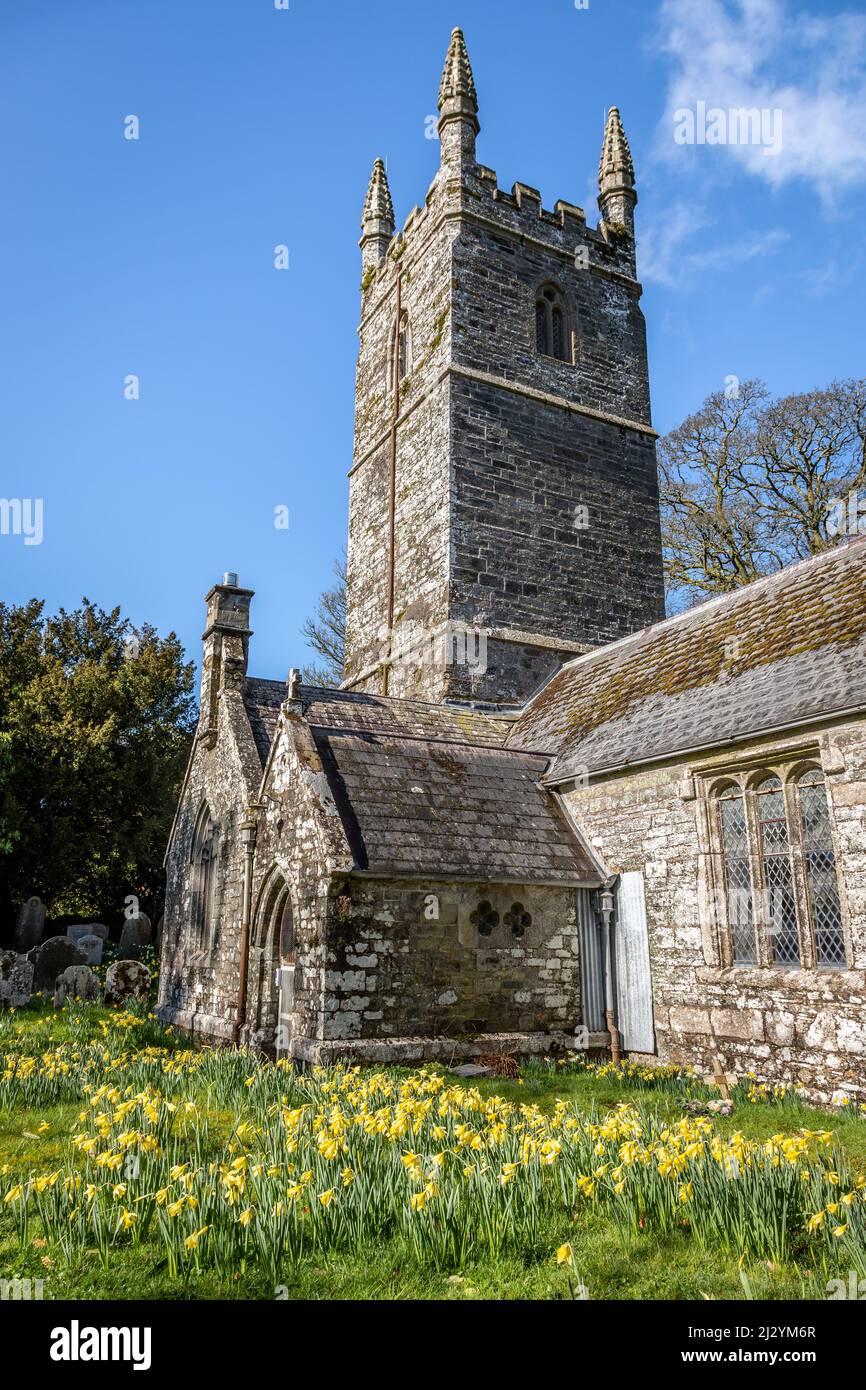 Kelly englisch -Fotos und -Bildmaterial in hoher Auflösung – Alamy