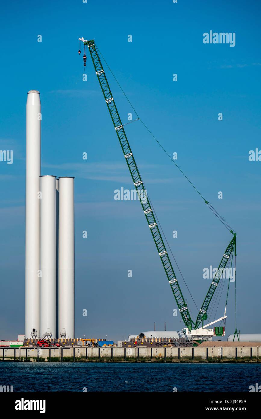 Container auf einem Containerschiff, im Hafen von Rotterdam, Maasvlakte ...
