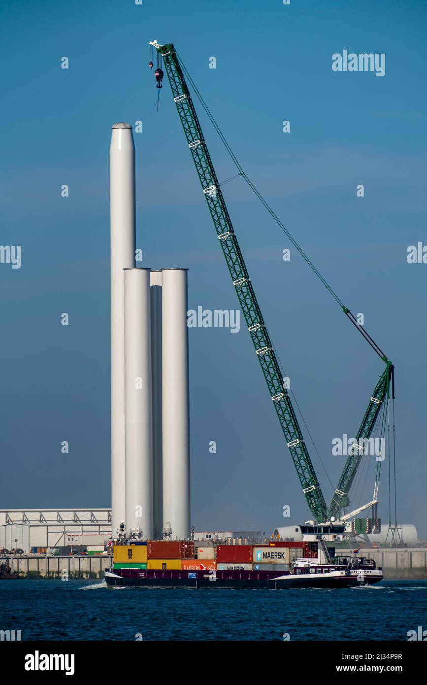 Container auf einem Containerschiff, im Hafen von Rotterdam, Maasvlakte ...