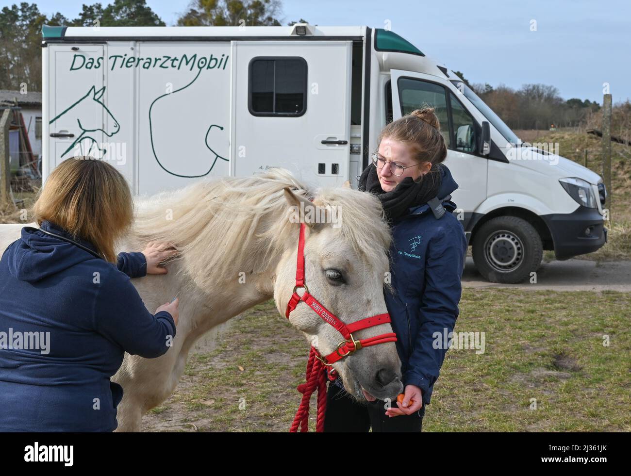 Templin, Deutschland. 30. März 2022. Alexandra Bartelt (l.), Tierärztin ...