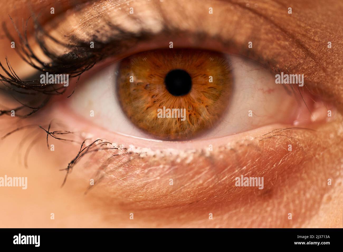 Braunes ogen -Fotos und -Bildmaterial in hoher Auflösung – Alamy