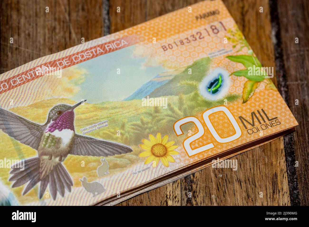 Costa Rica Geld, große Mengen an Bargeld, Geldscheinbündel von 20.000 ...