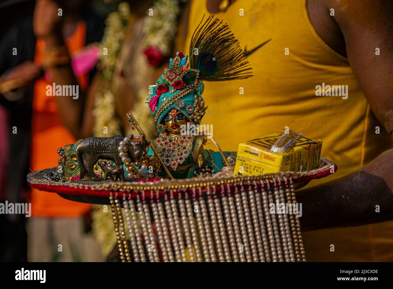 Hooghly, Westbengalen, Indien. 6. April 2022. Die Wurzel ist die ...