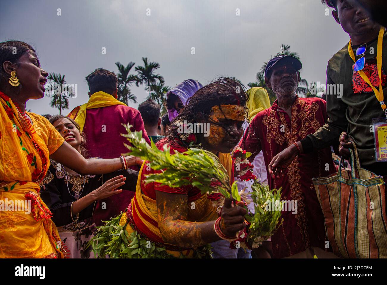 Hooghly, Westbengalen, Indien. 6. April 2022. Die Wurzel ist die ...