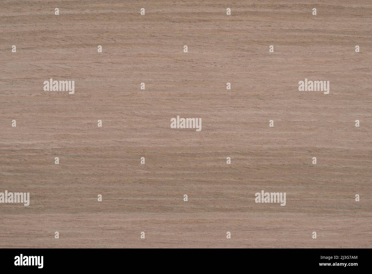Walnussbaum holz textur -Fotos und -Bildmaterial in hoher Auflösung – Alamy