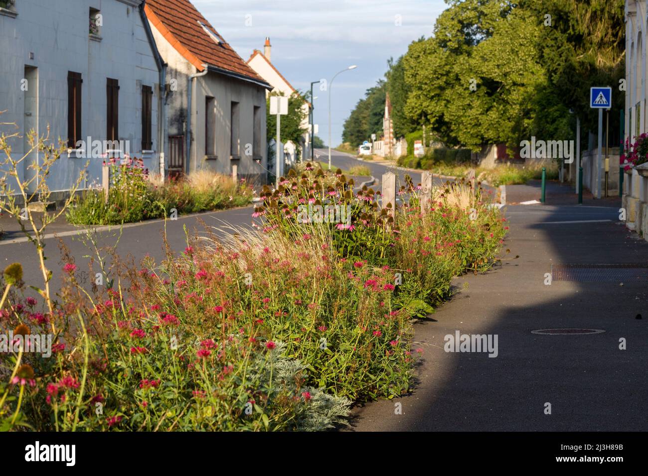Ciran -Fotos und -Bildmaterial in hoher Auflösung – Alamy