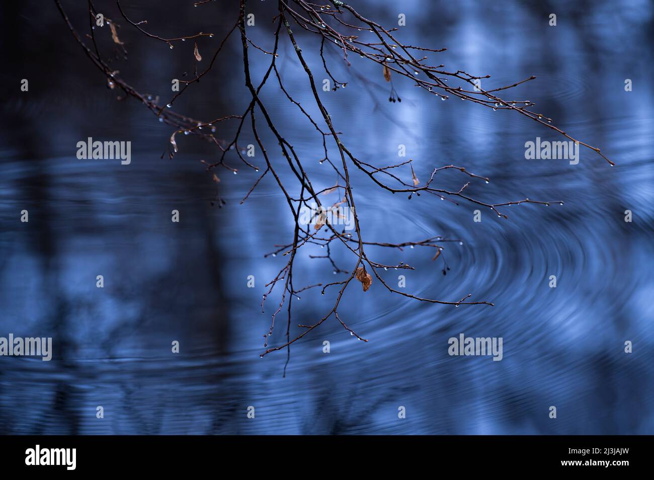 Fallende regentropfen bilden kreise im wasser -Fotos und -Bildmaterial ...