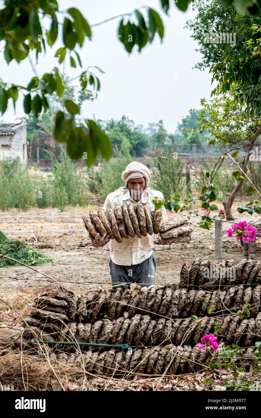 Nagli dorf noida -Fotos und -Bildmaterial in hoher Auflösung – Alamy