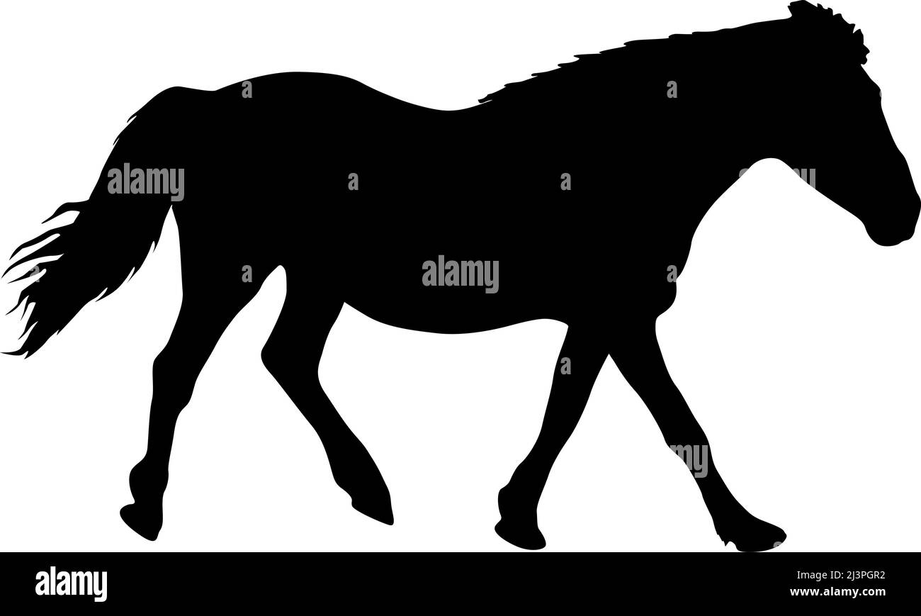 Silhouette der Schwarze mustang Pferd Vector Illustration Stock ...