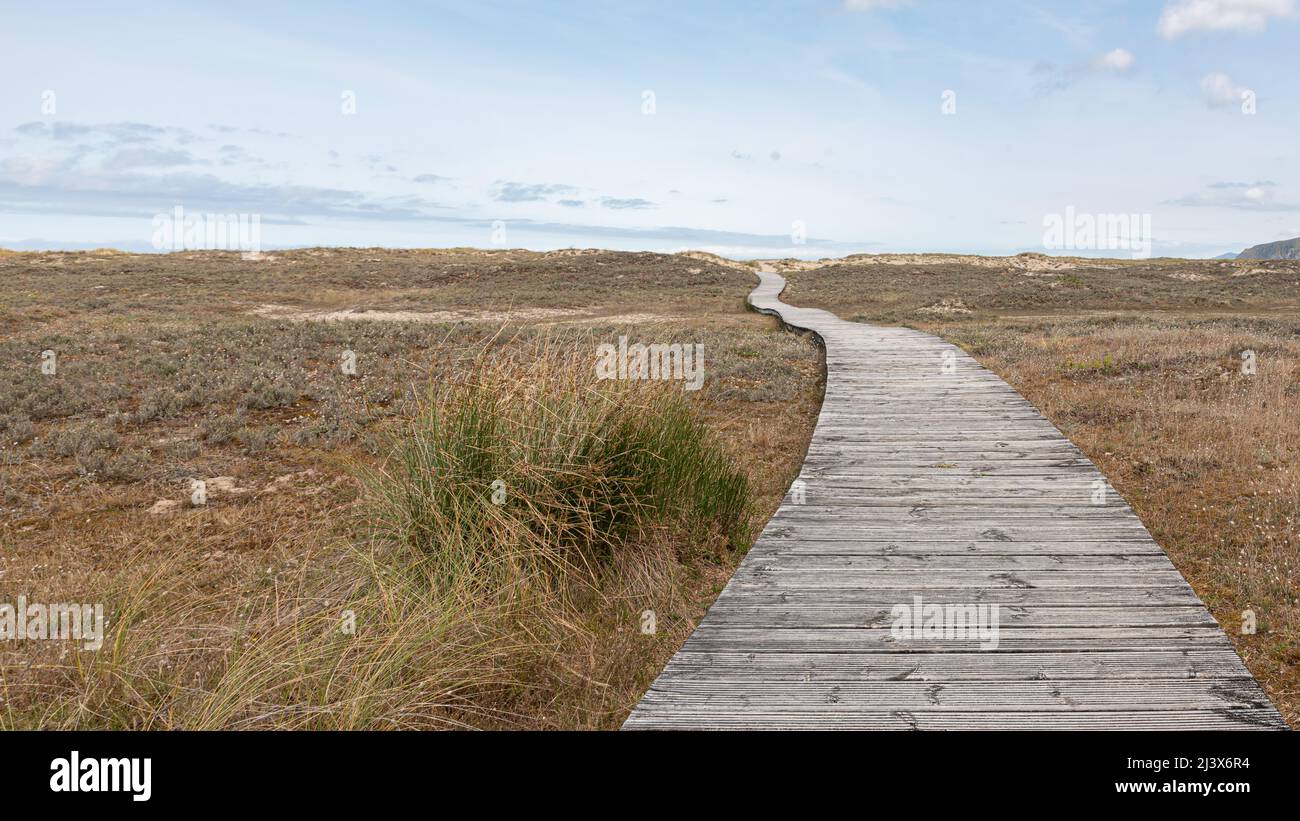 Weg zum Strand und zum Horizont, Weg und Natur. Dies ist Holzpflaster ...