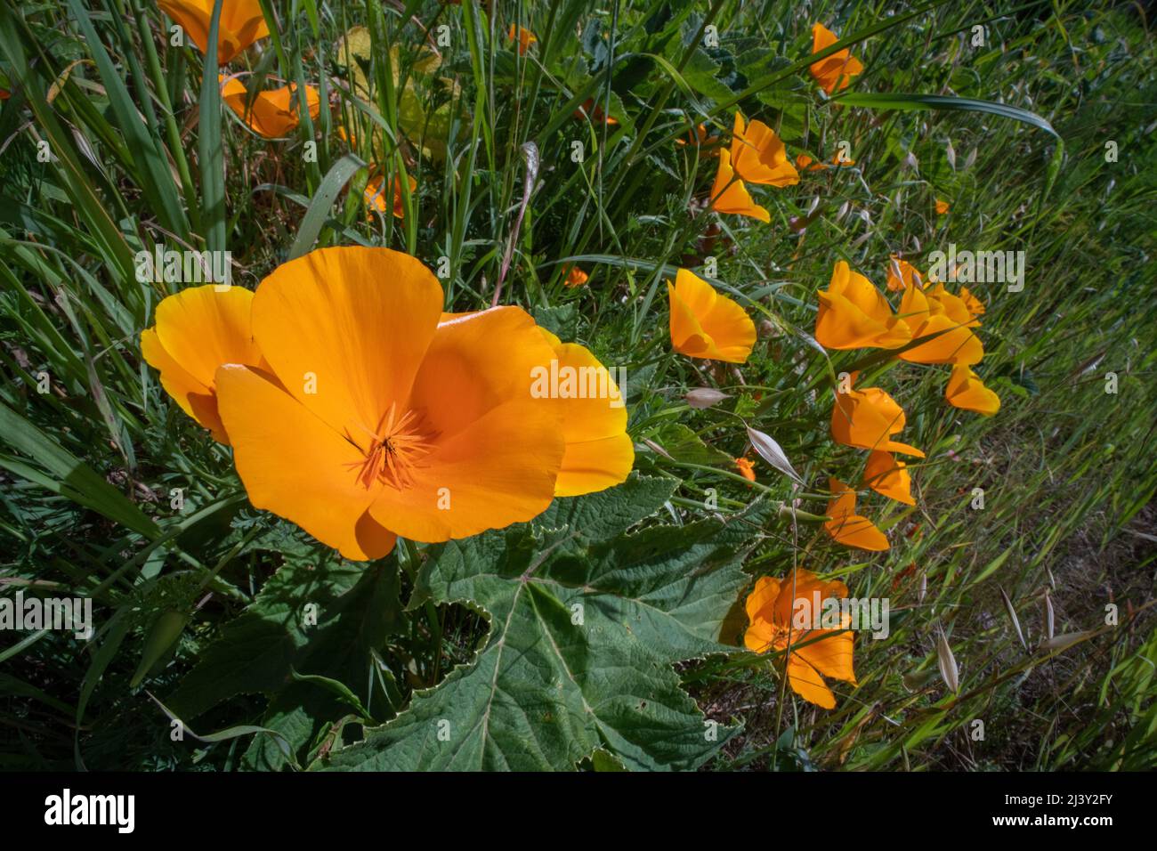 Gerbode tal -Fotos und -Bildmaterial in hoher Auflösung – Alamy