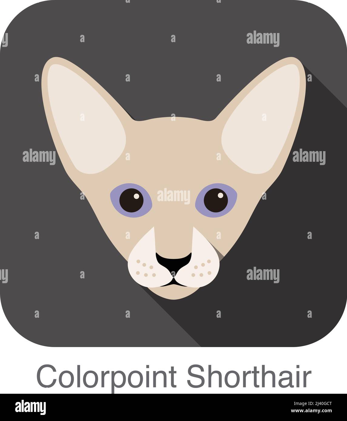 Farbpunkt kurzhaar Stock-Vektorgrafiken kaufen - Alamy