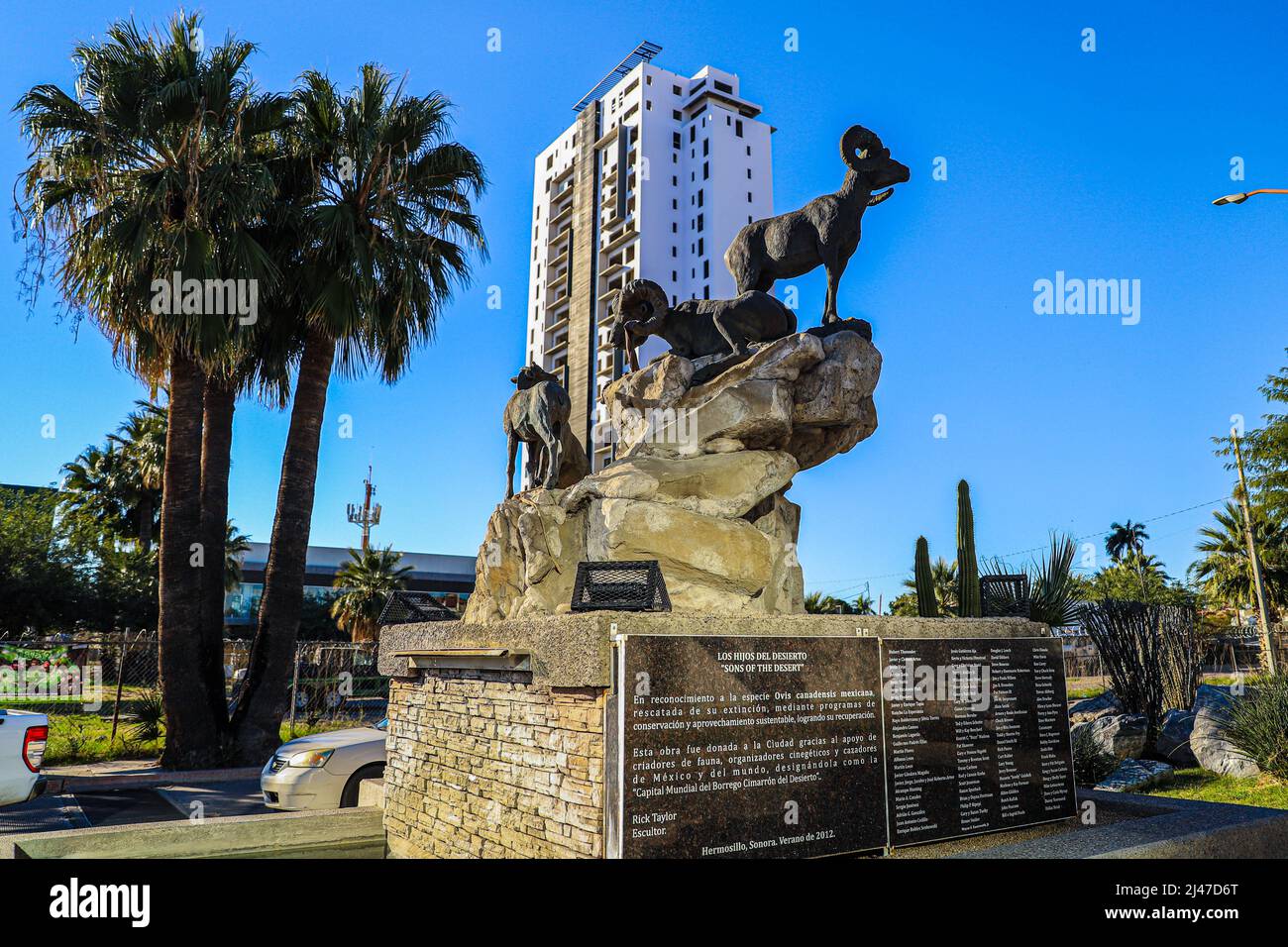 Figura o estatua de borrego cimarron, cimarrones, animal del desierto ...