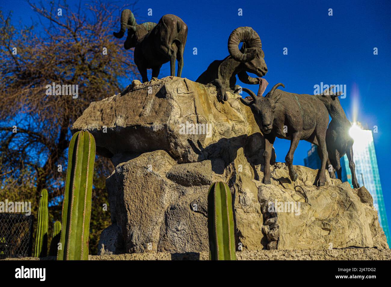 Figura o estatua de borrego cimarron, cimarrones, animal del desierto ...
