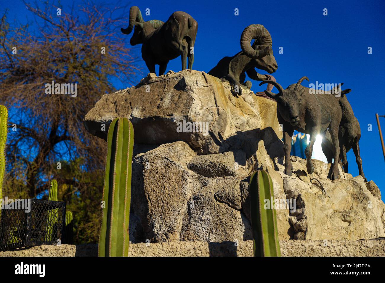 Figura o estatua de borrego cimarron, cimarrones, animal del desierto ...