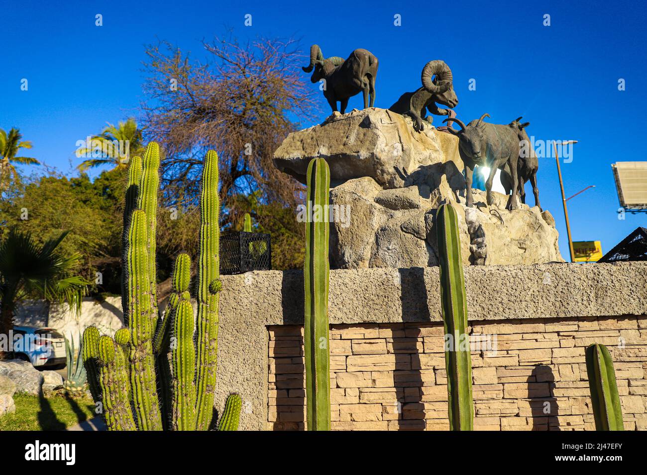 Figura o estatua de borrego cimarron, cimarrones, animal del desierto ...