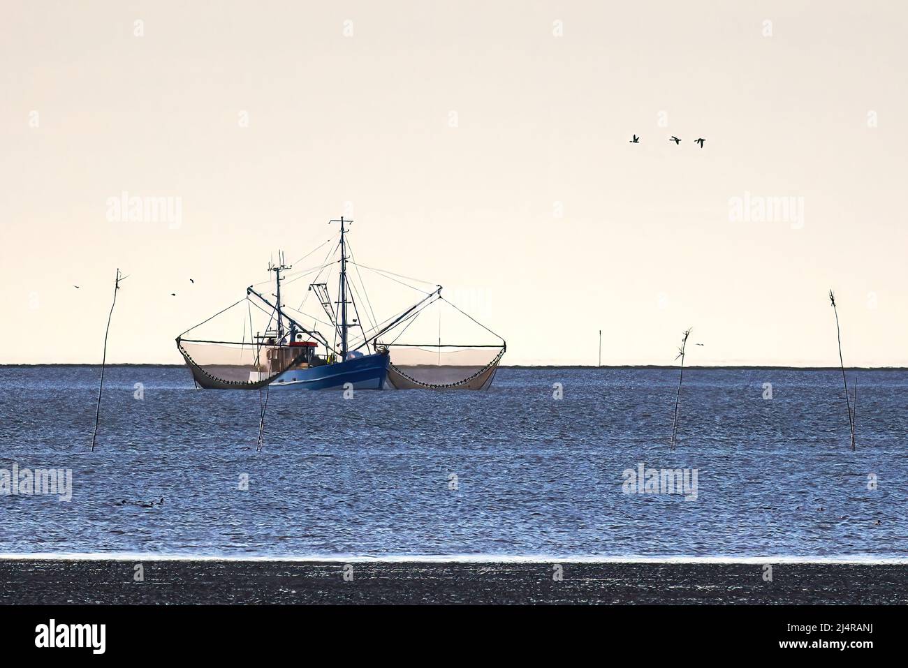 Fish trawler -Fotos und -Bildmaterial in hoher Auflösung – Alamy