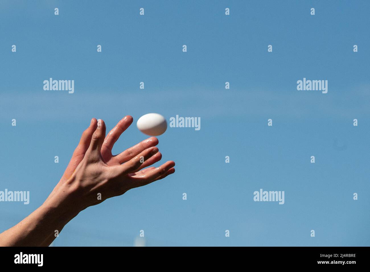Eier geworfen -Fotos und -Bildmaterial in hoher Auflösung – Alamy