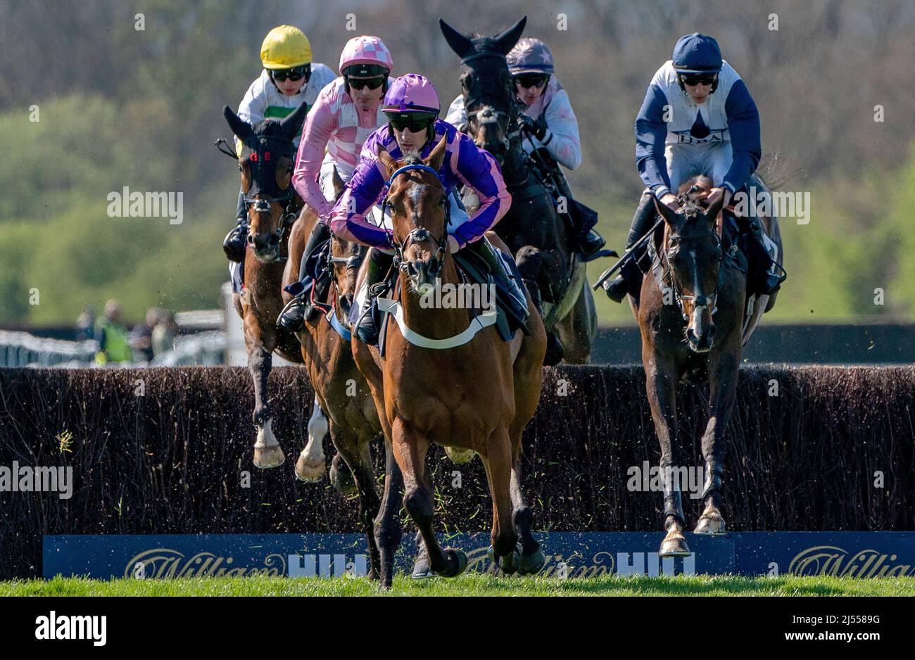 Dreams of Home wird von dem Jockey Brian Hughes auf dem Weg zum Bob ...