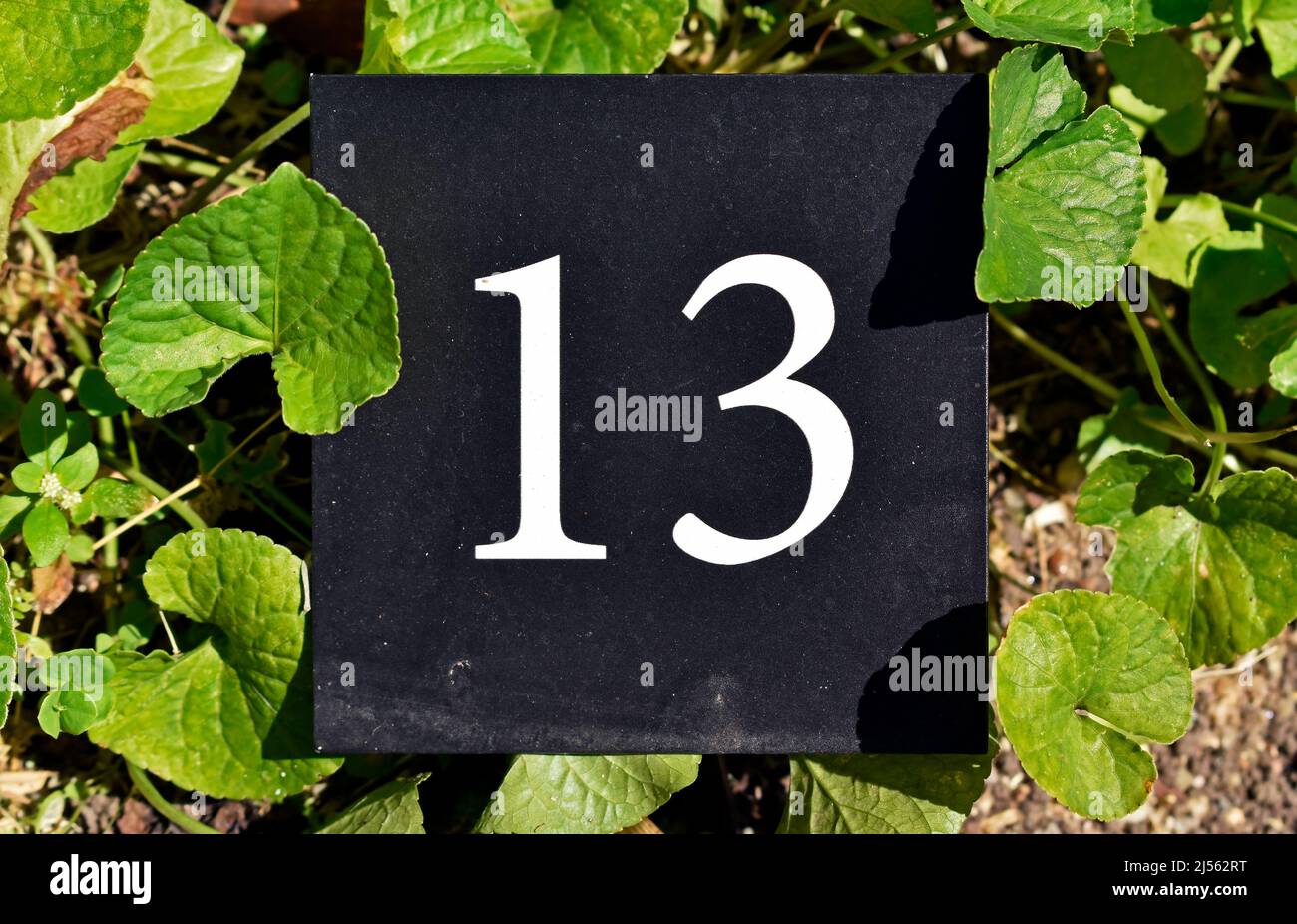 Grünes nummernschild -Fotos und -Bildmaterial in hoher Auflösung – Alamy