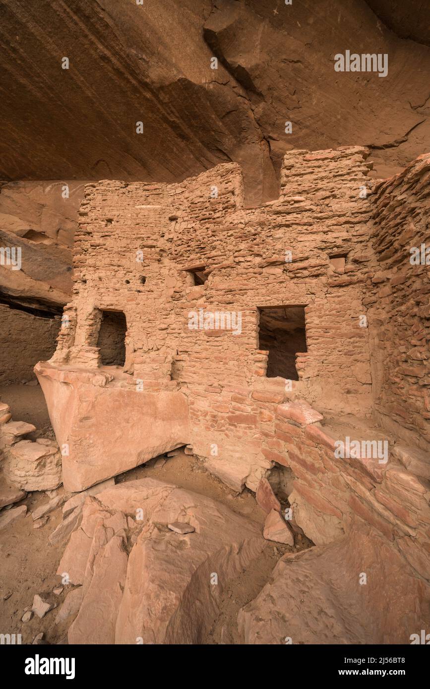 River House Ruin in der Nähe des San Juan River, Shash Jaa Unit, Bears ...