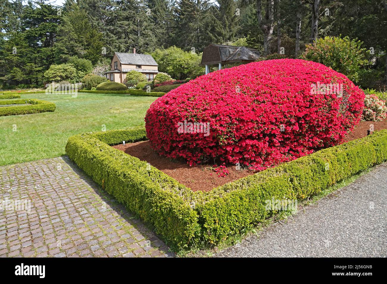 Louis simpson -Fotos und -Bildmaterial in hoher Auflösung – Alamy