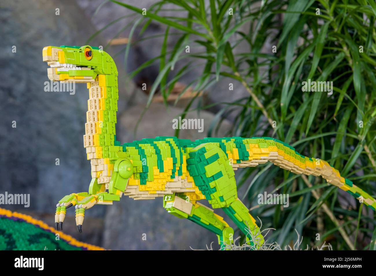 Singapur Apr 10. 2022: Der von LEGO hergestellte Dinosaurier ...