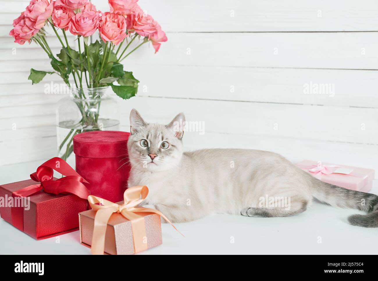 Valentinstagskarte mit Katze. Blumenstrauß Rosen. Muttertag Herzlichen ...