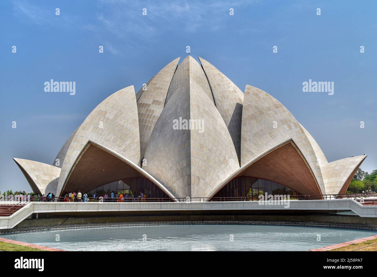 Lotus structure -Fotos und -Bildmaterial in hoher Auflösung – Alamy