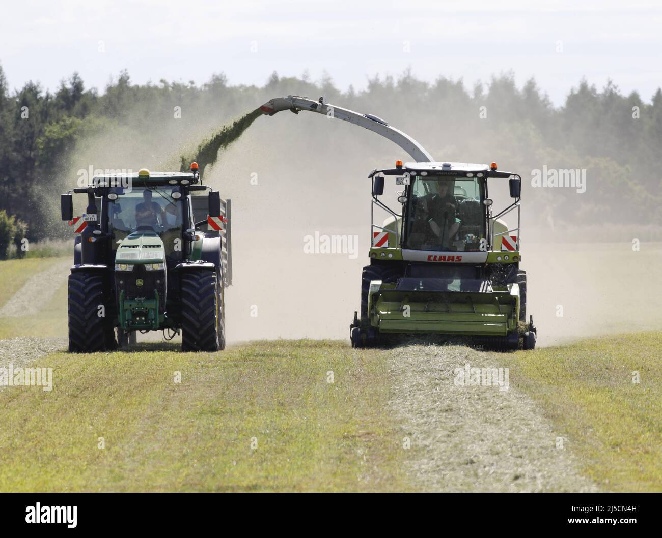 Müncheberg, DEU, 02.06.2020 - Futterernte auf dem Biobauernhof ...