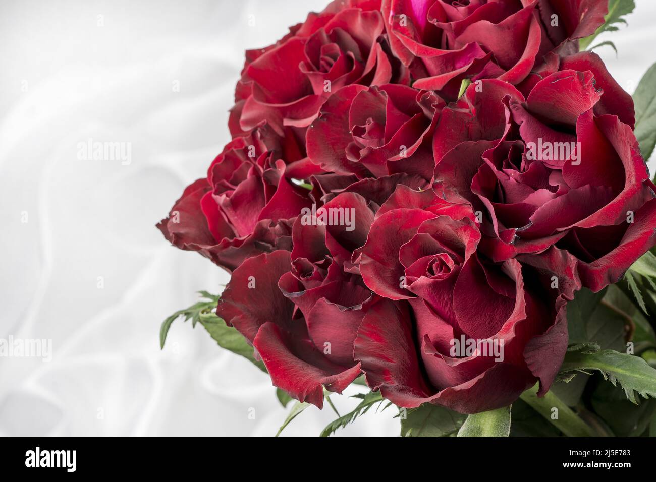 Hochzeitsfotorahmen mit rosen -Fotos und -Bildmaterial in hoher Auflösung – Alamy
