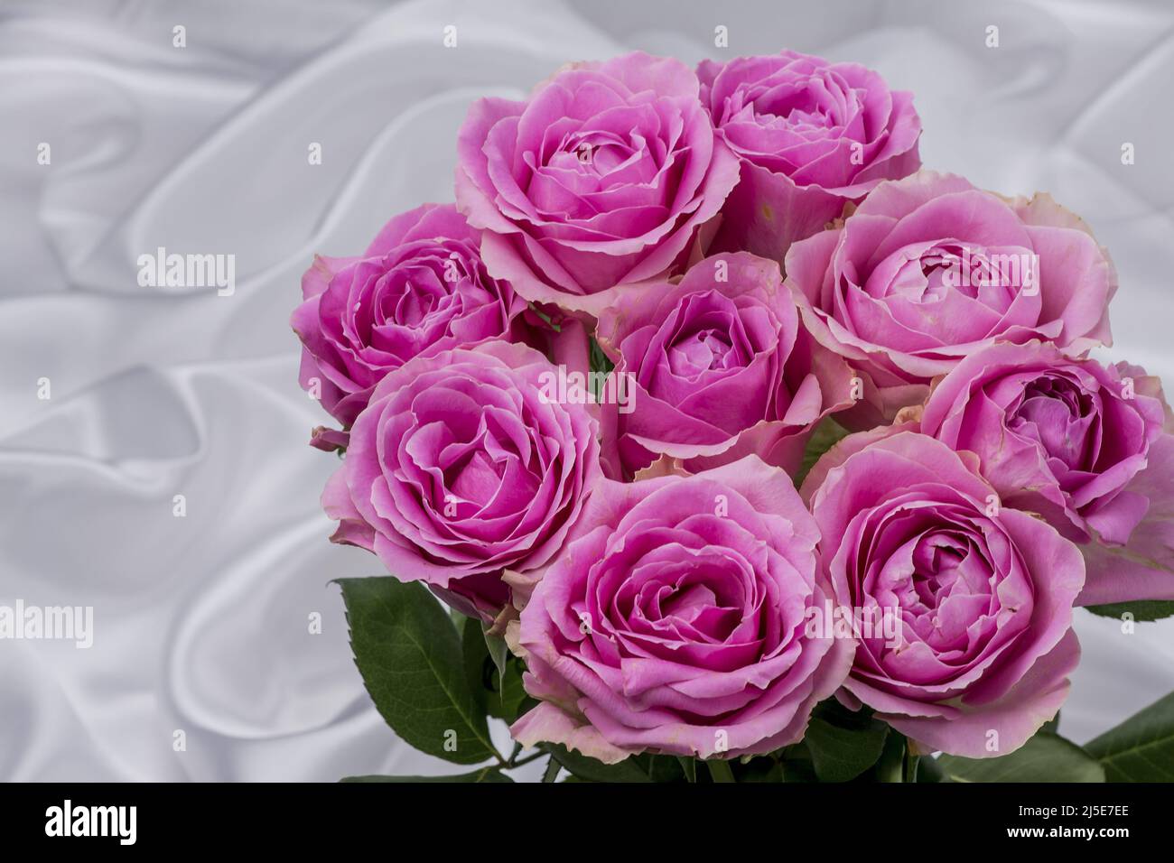 Hochzeitsfotorahmen mit rosen -Fotos und -Bildmaterial in hoher Auflösung – Alamy