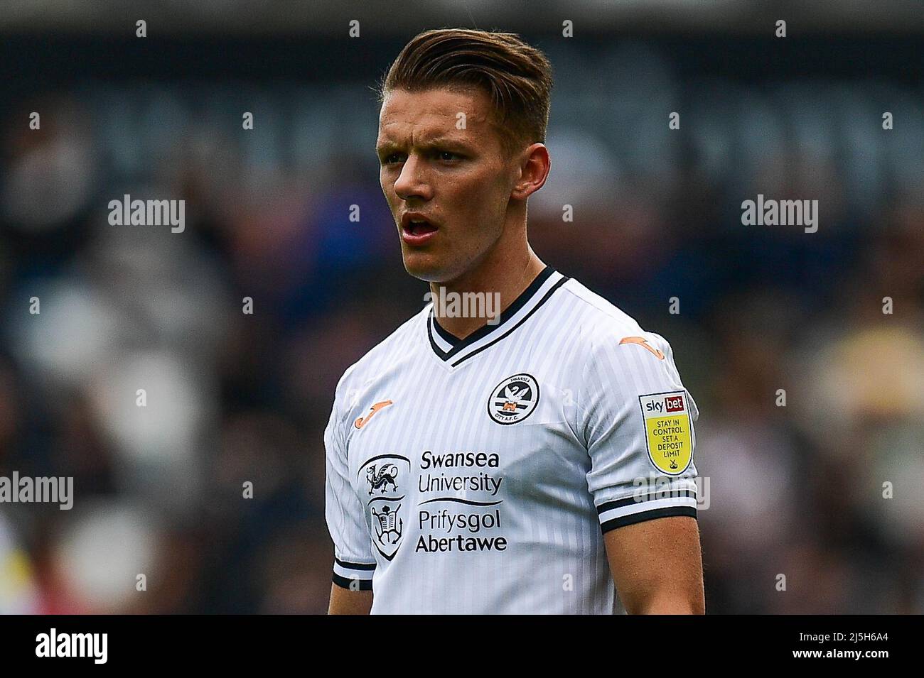 Wolf hannes -Fotos und -Bildmaterial in hoher Auflösung – Alamy