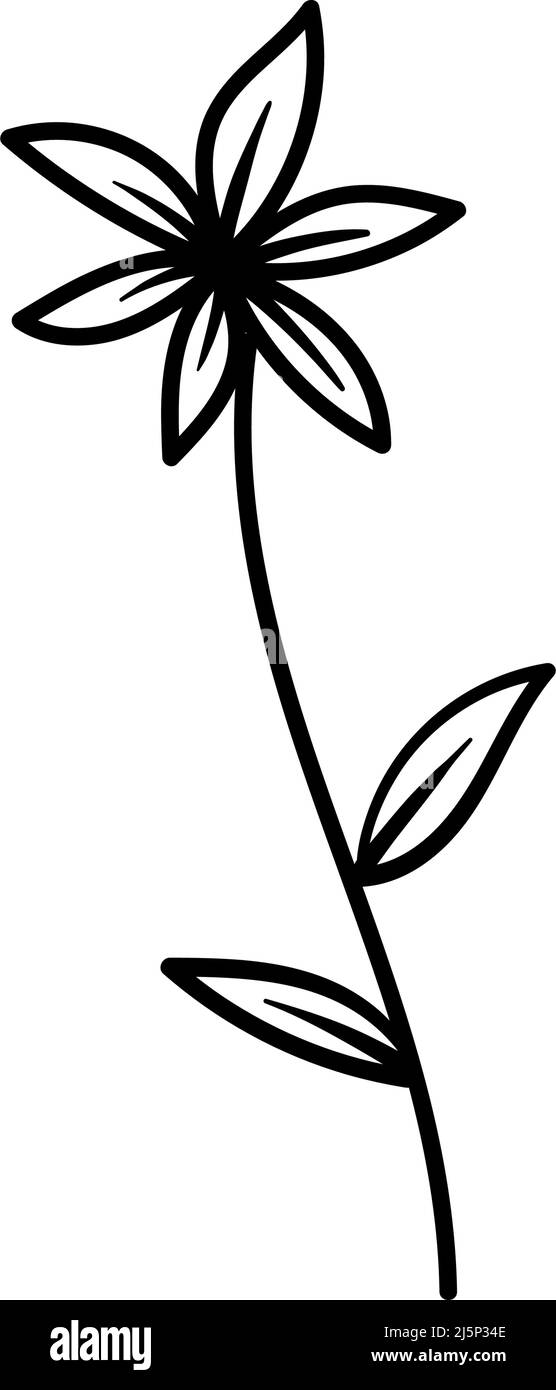 Blume Umriss Symbol Design Vorlage ilustration Vektor Stock ...