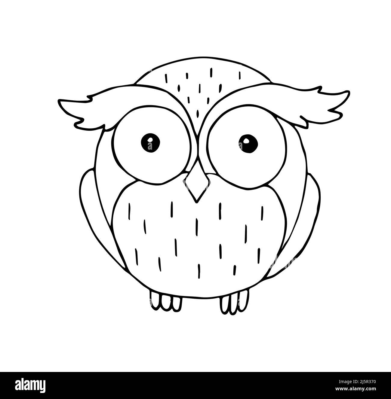 Vektor Hand gezeichnet Umriss Doodle Skizze Eule isoliert auf weißem ...