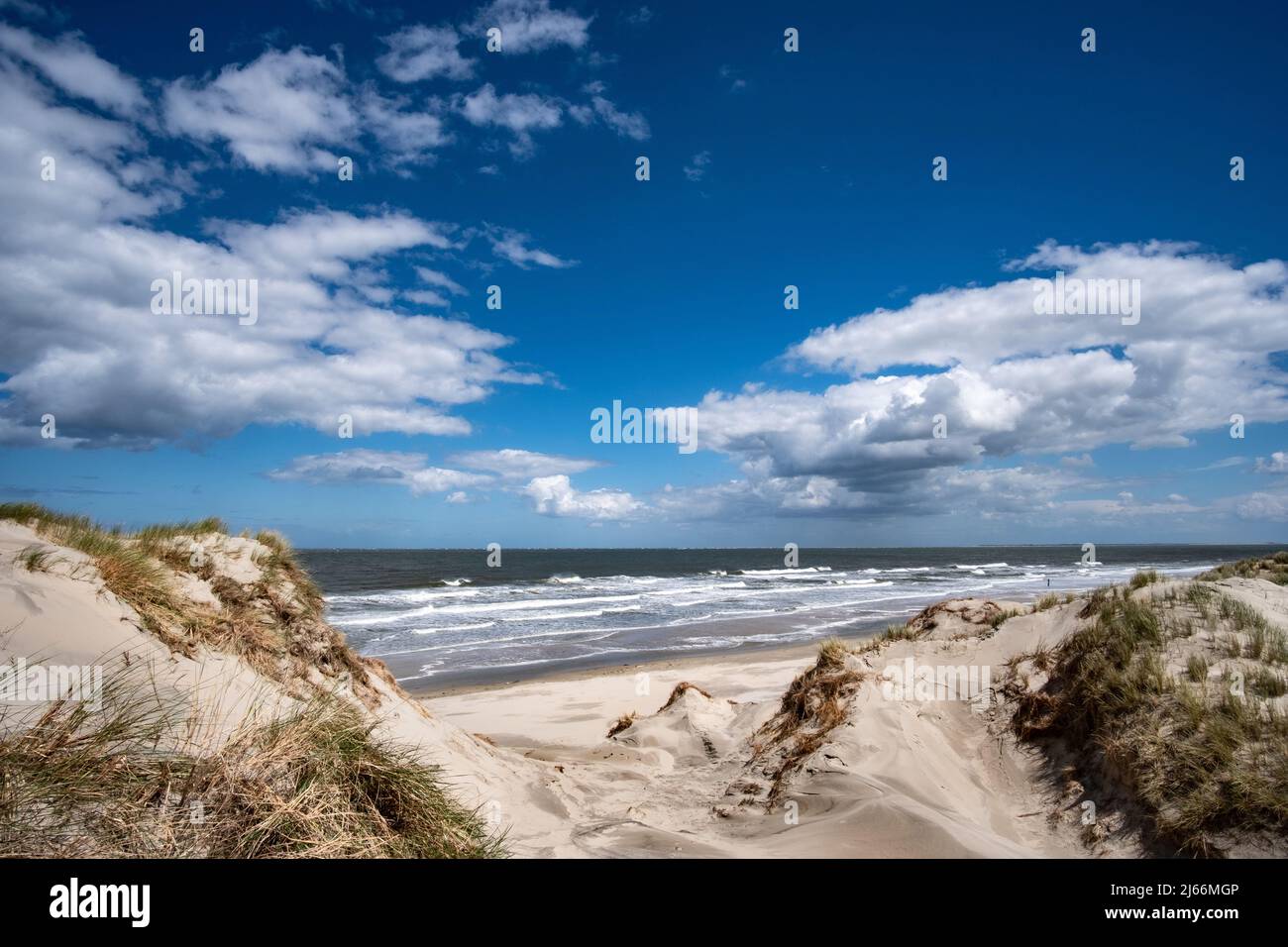 Impressionen von der Insel Borkum, einsamer Nordstrand, Dünen, Blick ...