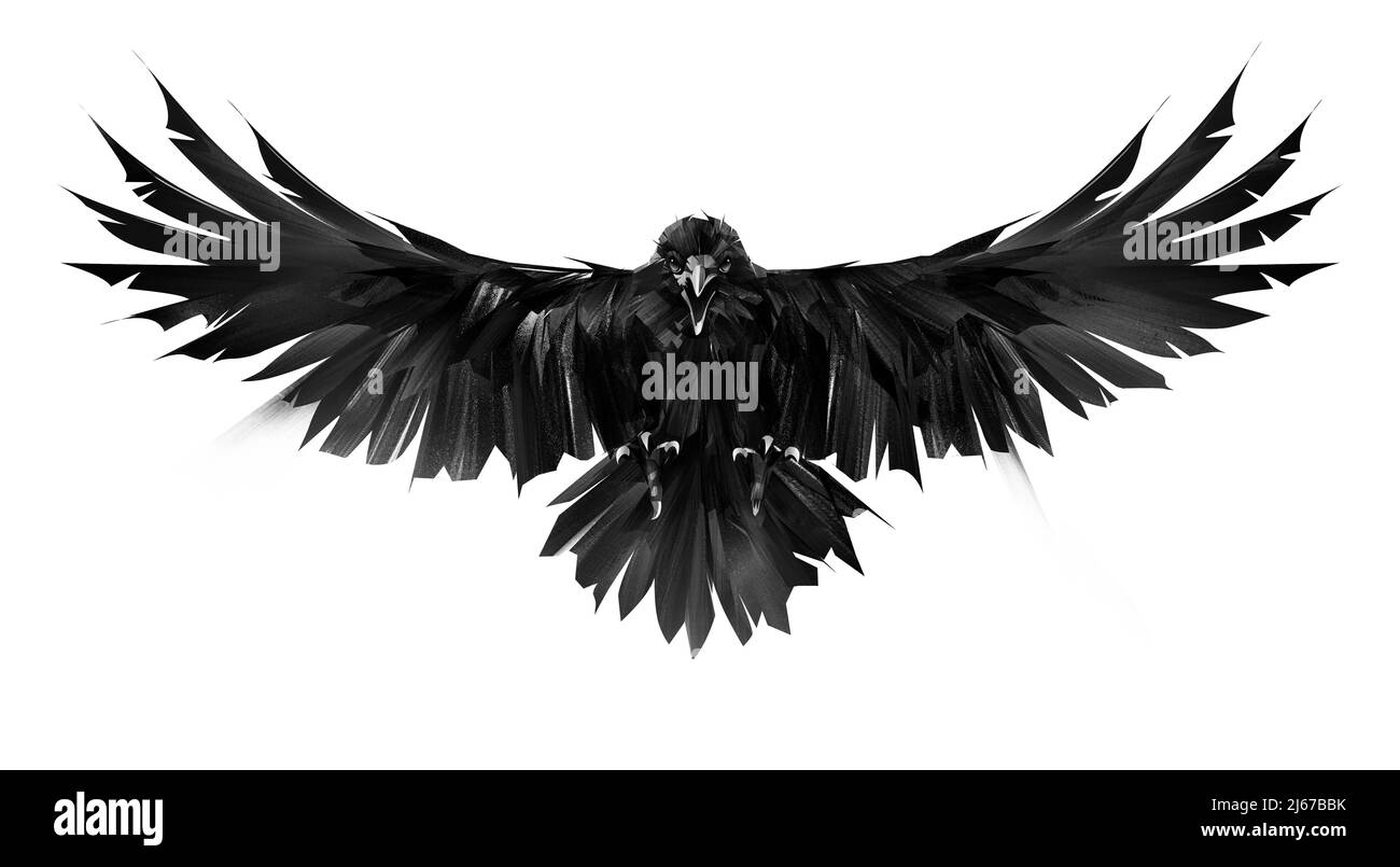 Bleistift gezeichnet tattoo rabe -Fotos und -Bildmaterial in hoher ...